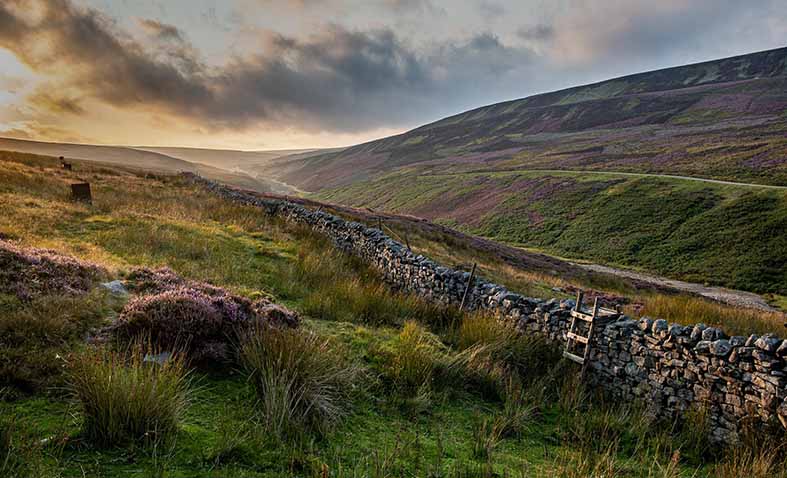 Yorkshire Dales Millennium Trust | Working together for the Dales