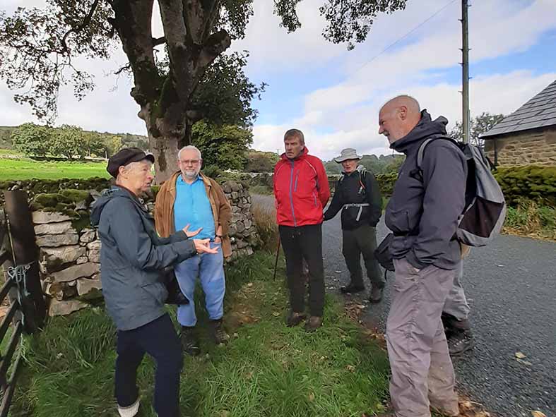 Ancient trees talk | YDMT