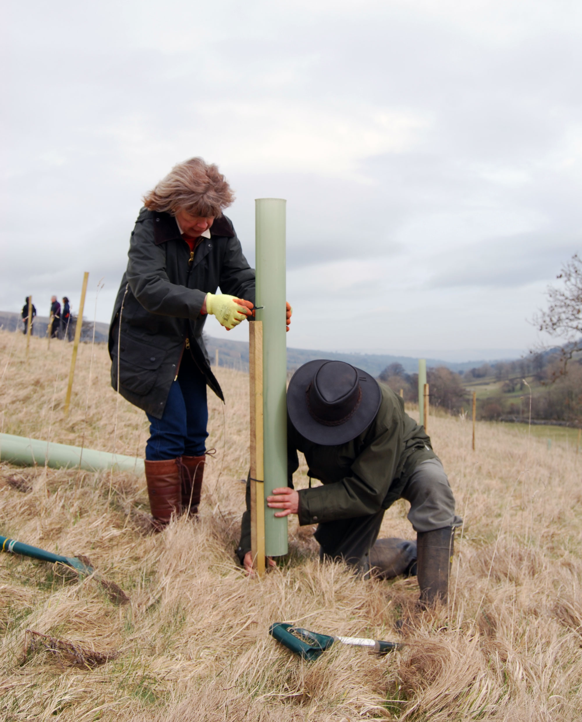 Yorkshire Dales Millennium Trust | What we do | YDMT